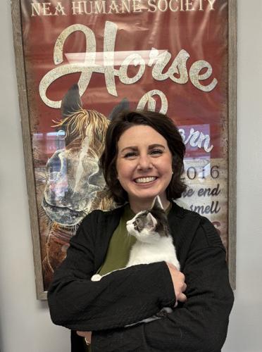 Meet Amy Schmidt | News | jonesborosun.com