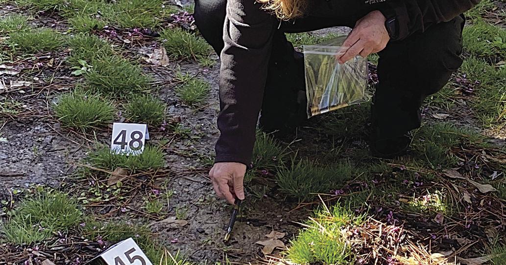 NEA Humane Society takes action to save animals | News | jonesborosun.com