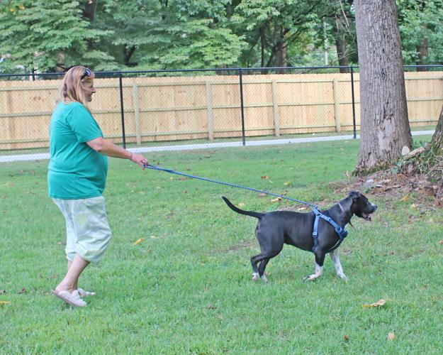 Bark Park opens for furry friends | News | jonesborosun.com