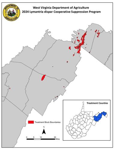 WVDA proposes aerial spray treatment to stop spread of invasive moth ...