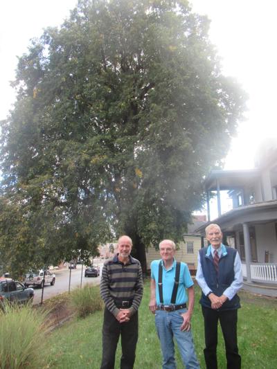 Overington announces results of 17th Annual Largest Tree Contest | In ...
