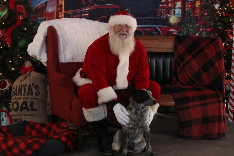 Santa role is more than a costume | Arts And Entertainment | journal ...