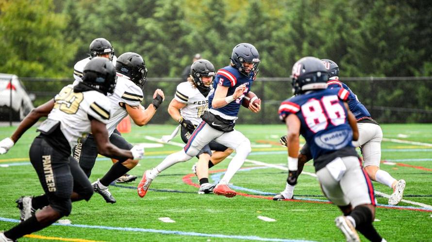 Shenandoah Hornets | | journal-news.net