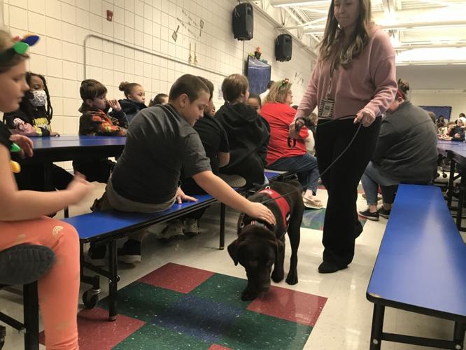 Potomack Intermediate School welcomes new therapy dog named River | Journal-news | journal-news.net