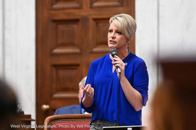 West Virginia lawmakers focus on culture war issues in schools and ...