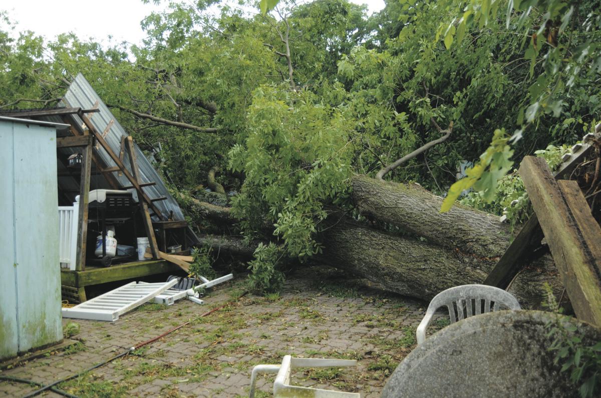 Falling tree crushes house in Inwood | Journal-news | journal-news.net