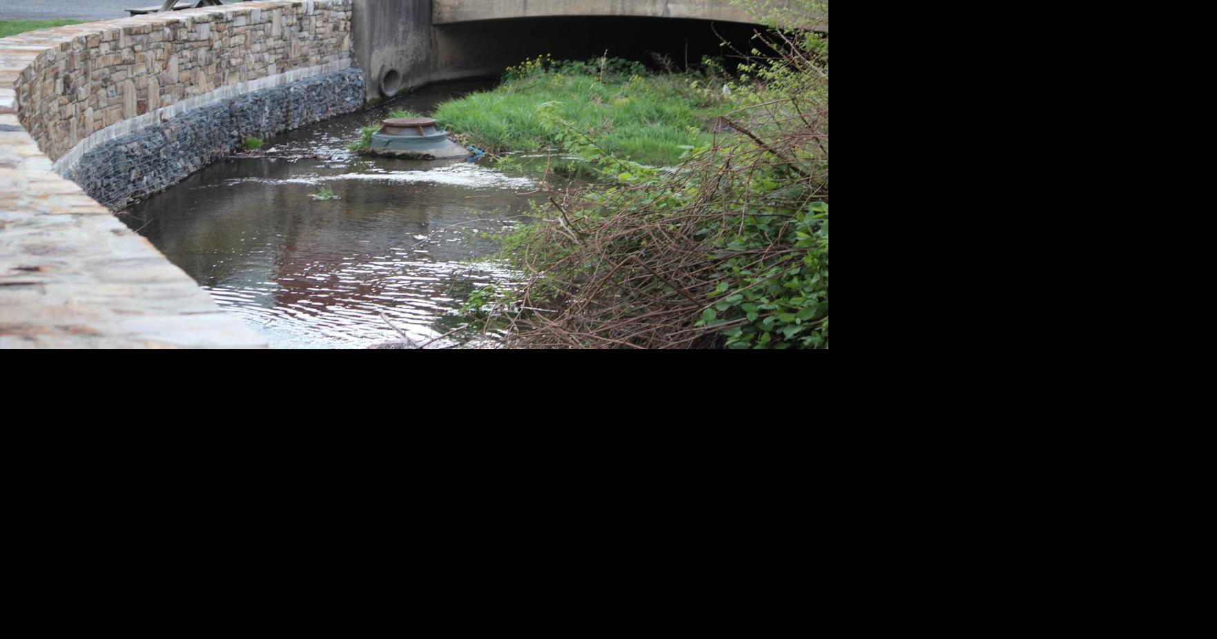 Earth Day event discusses US-522 bypass impacts on Warm Springs Run ...