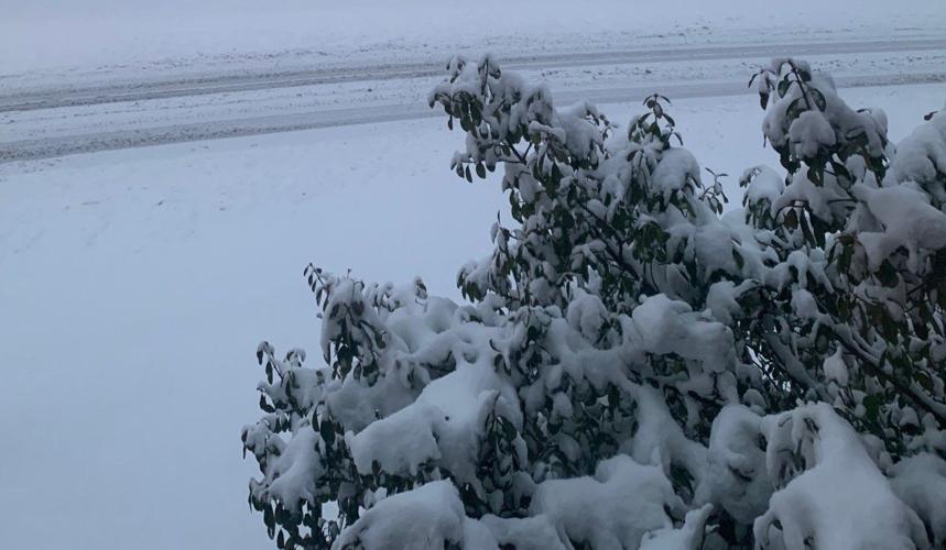 Eastern Panhandle expects six inches of snow total during winter storm ...