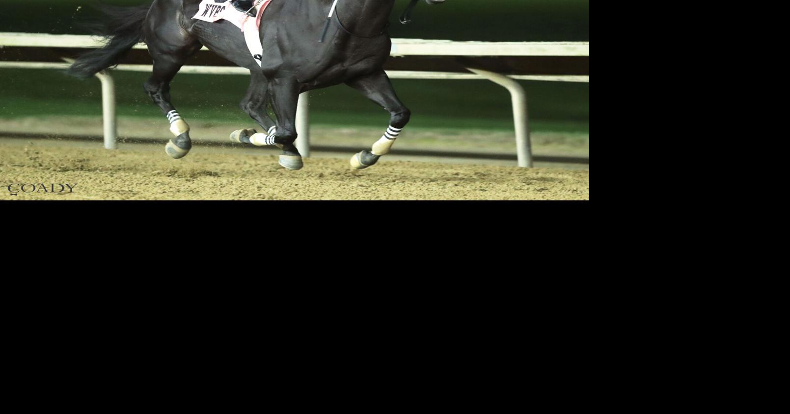Teachintherelease captures Sam Huff West Virginia Breeders' Classic ...