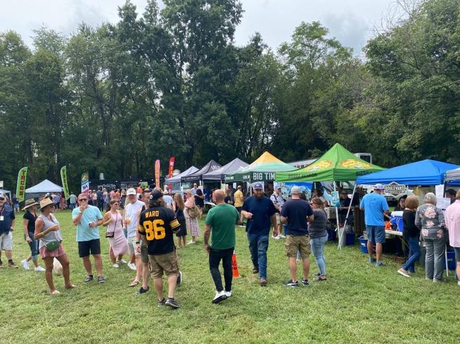 Annual Craft Beer and Music Festival draws large crowd once again ...