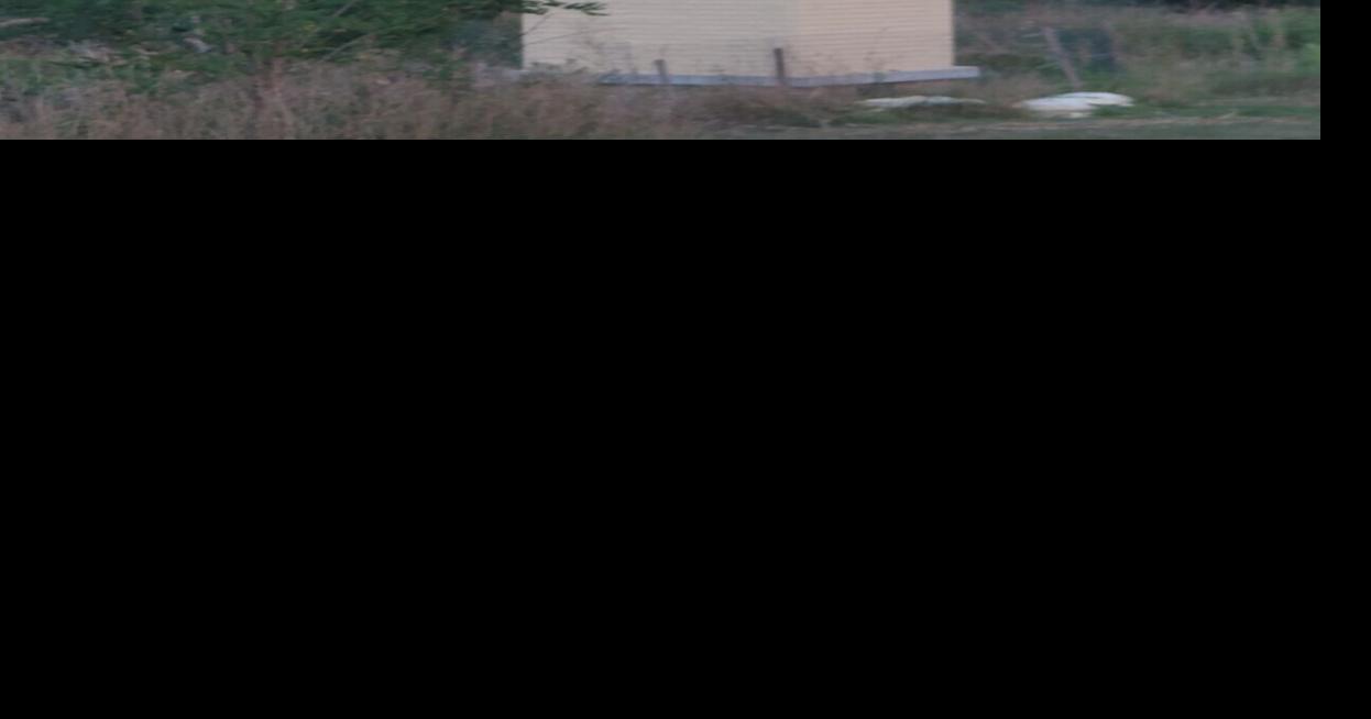 "A swift night out" draws local community in conservation efforts for ...