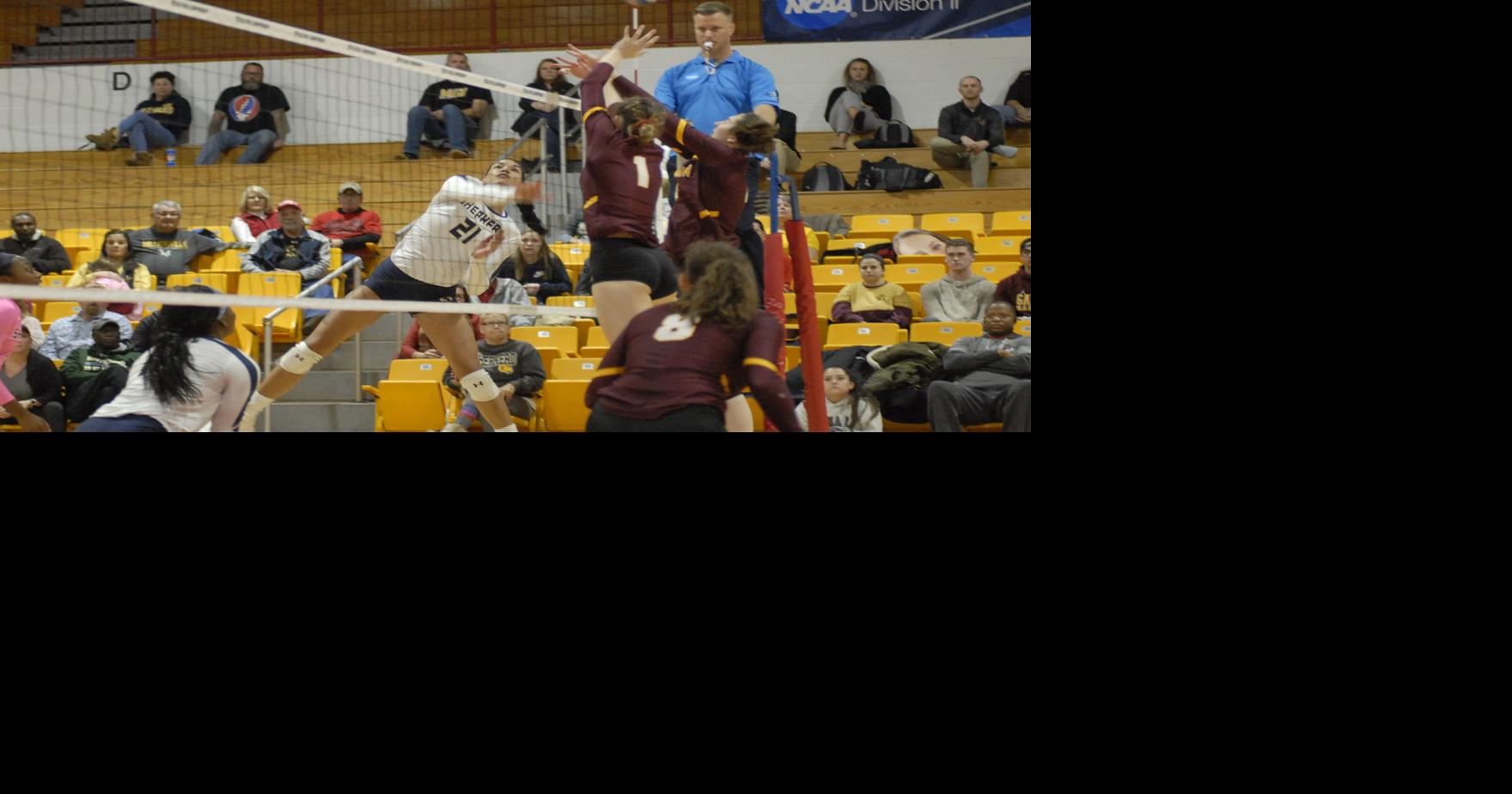 Going the distance: Gannon ousts Shepherd volleyball in regional ...