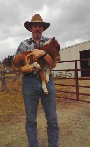 David Roscoe Greenfield | Obituaries | journal-news.net