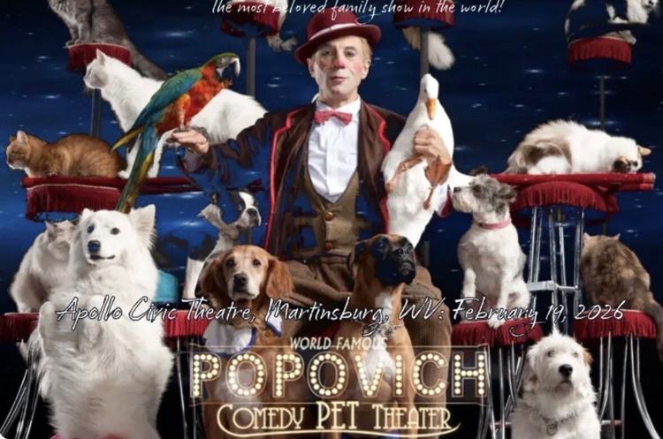 The Apollo Civic Theatre supports local rescues through the Popovich ...