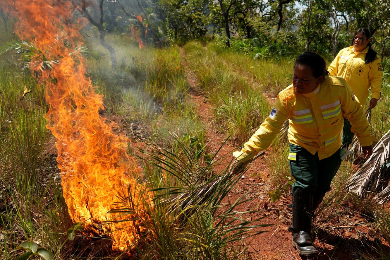 In Brazil’s Cerrado region, Indigenous fire practices reshape wildfire ...