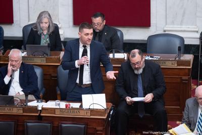 McGeehan: Eastern Panhandle lawmaker innocent of making antisemitic ...