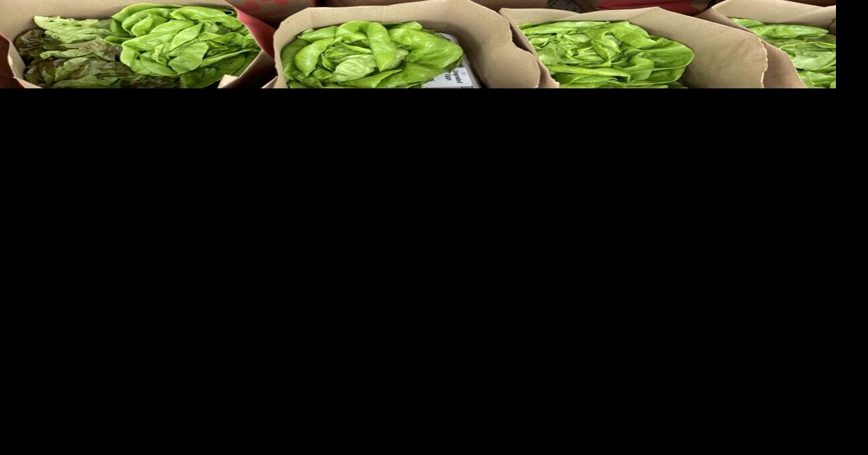 CMI request approved by Senate Appropriations Committee, seeks VISTA ...