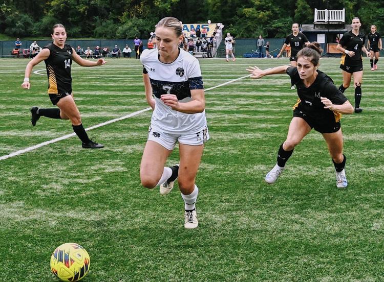 Shepherd women's soccer climbs to 15th in national poll | Journal-news ...