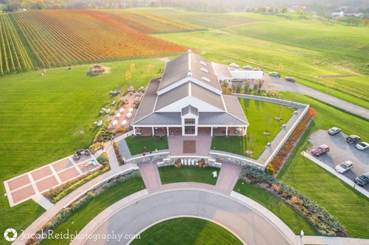 Keep on growing: Big Cork Vineyards looks toward future after ...