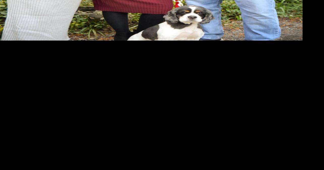 Joseph “Joe” N. Abood | Obituaries | journal-news.net