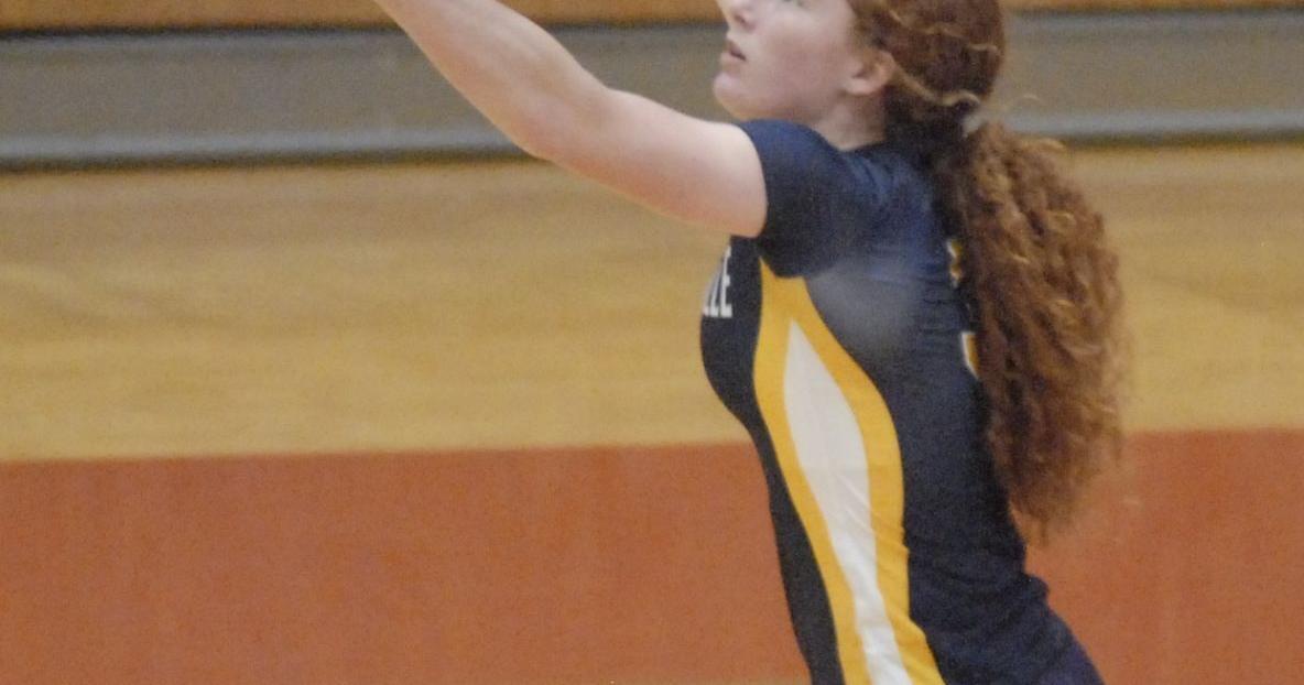 Hedgesville's Yates wins Gatorade volleyball award | Journal-news ...