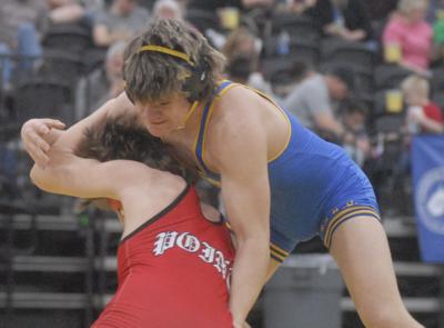 AOW: Tribe's Zombro most-outstanding on mats | Journal-news | journal ...