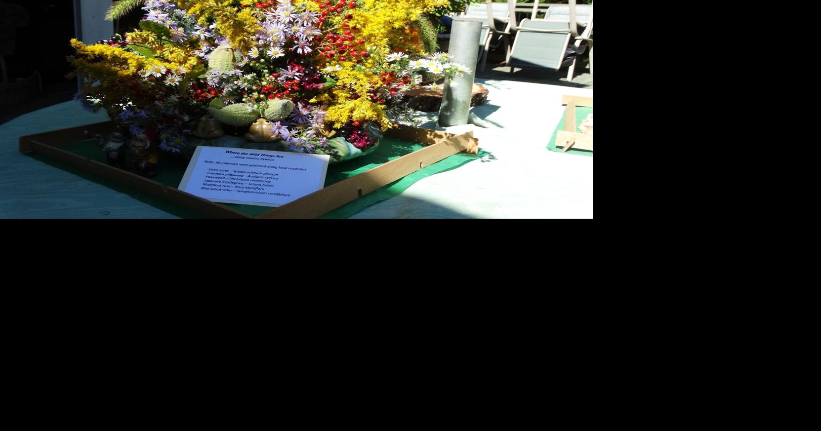 Rabatin awarded blue ribbon for “Where the Wild Things Are” arrangement ...
