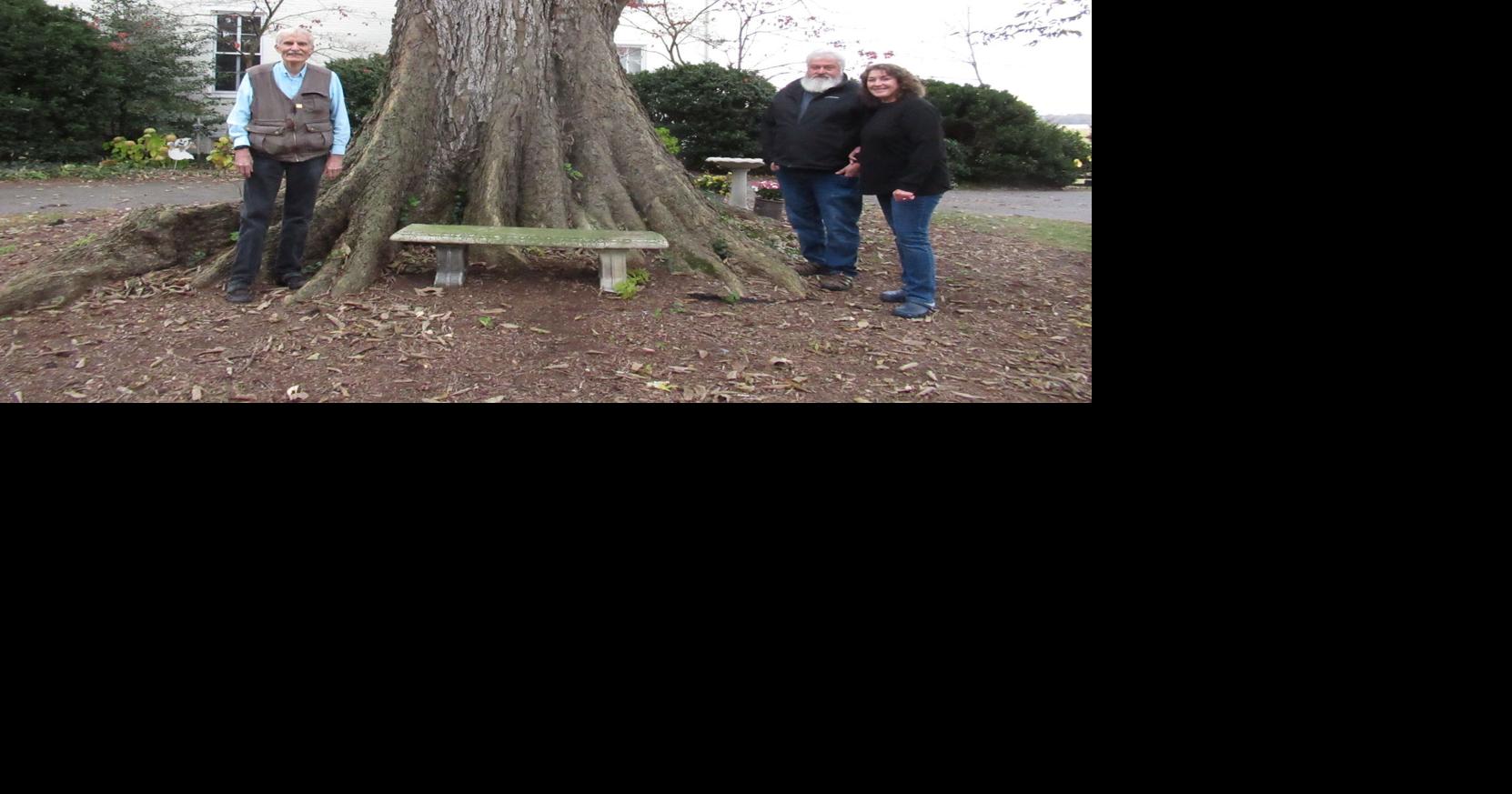 Overington announces Largest Tree 2022 winner | Journal-news | journal ...