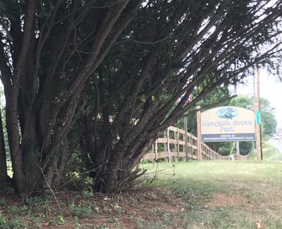 The Wild and Colorful 5k Color Run to be held at Morgan’s Grove Park ...