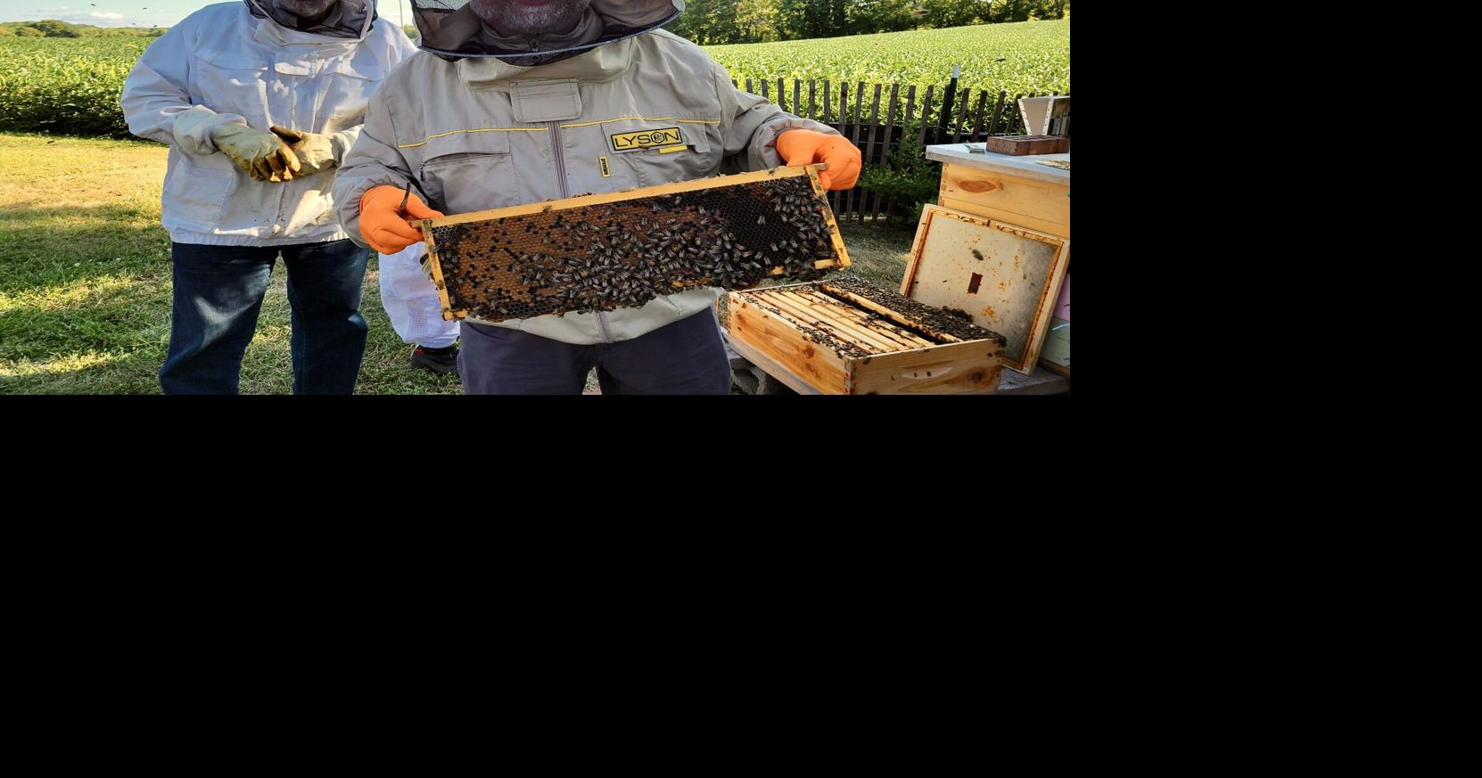 Apiary inspector talks mites and more at Eastern Panhandle Beekeepers ...