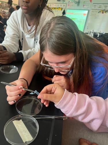 North Middle School students work on project with NASA | Journal-news ...
