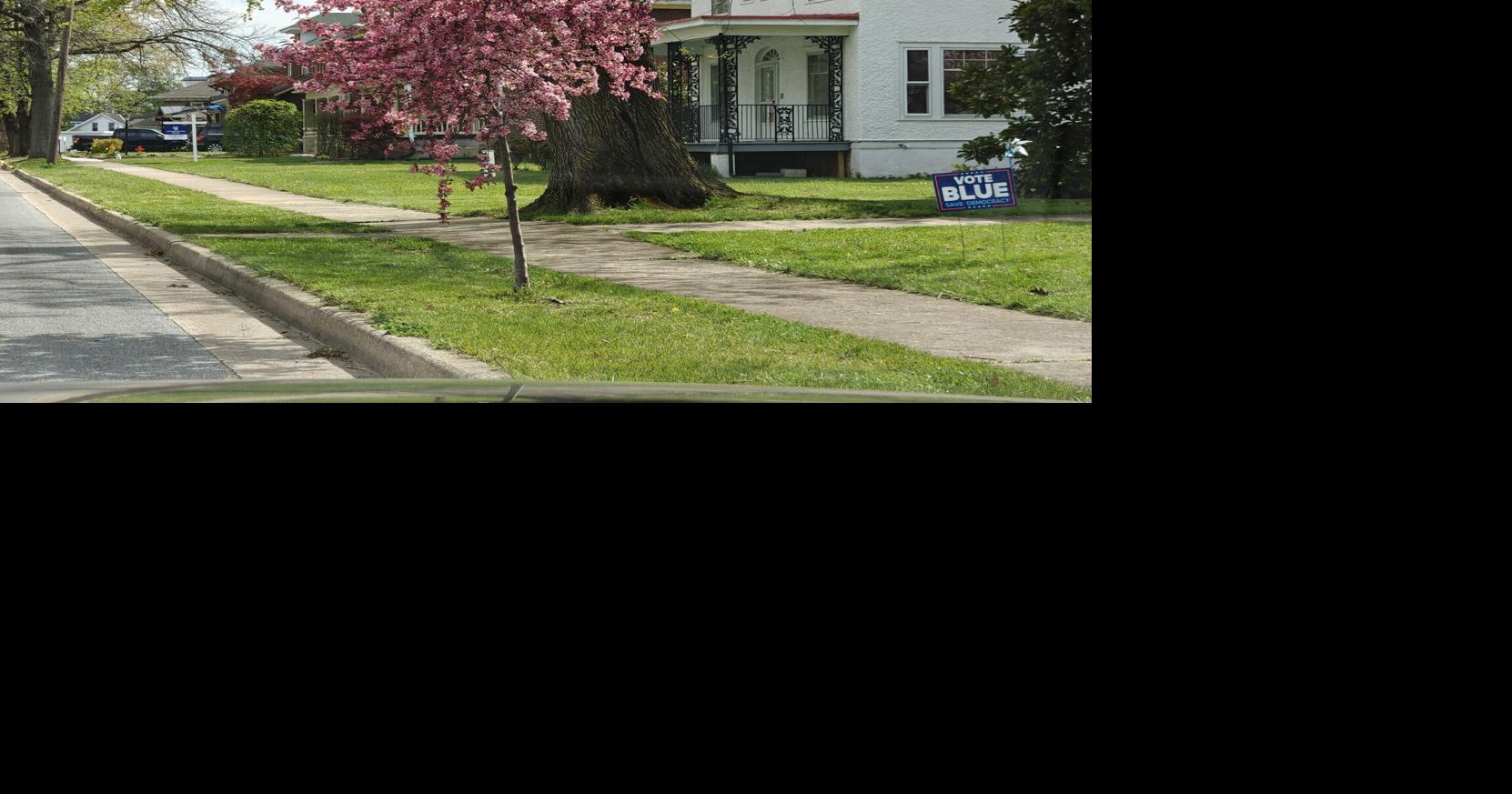 Berkeley Co. Clerk reminds citizens of statewide rules for campaign ...