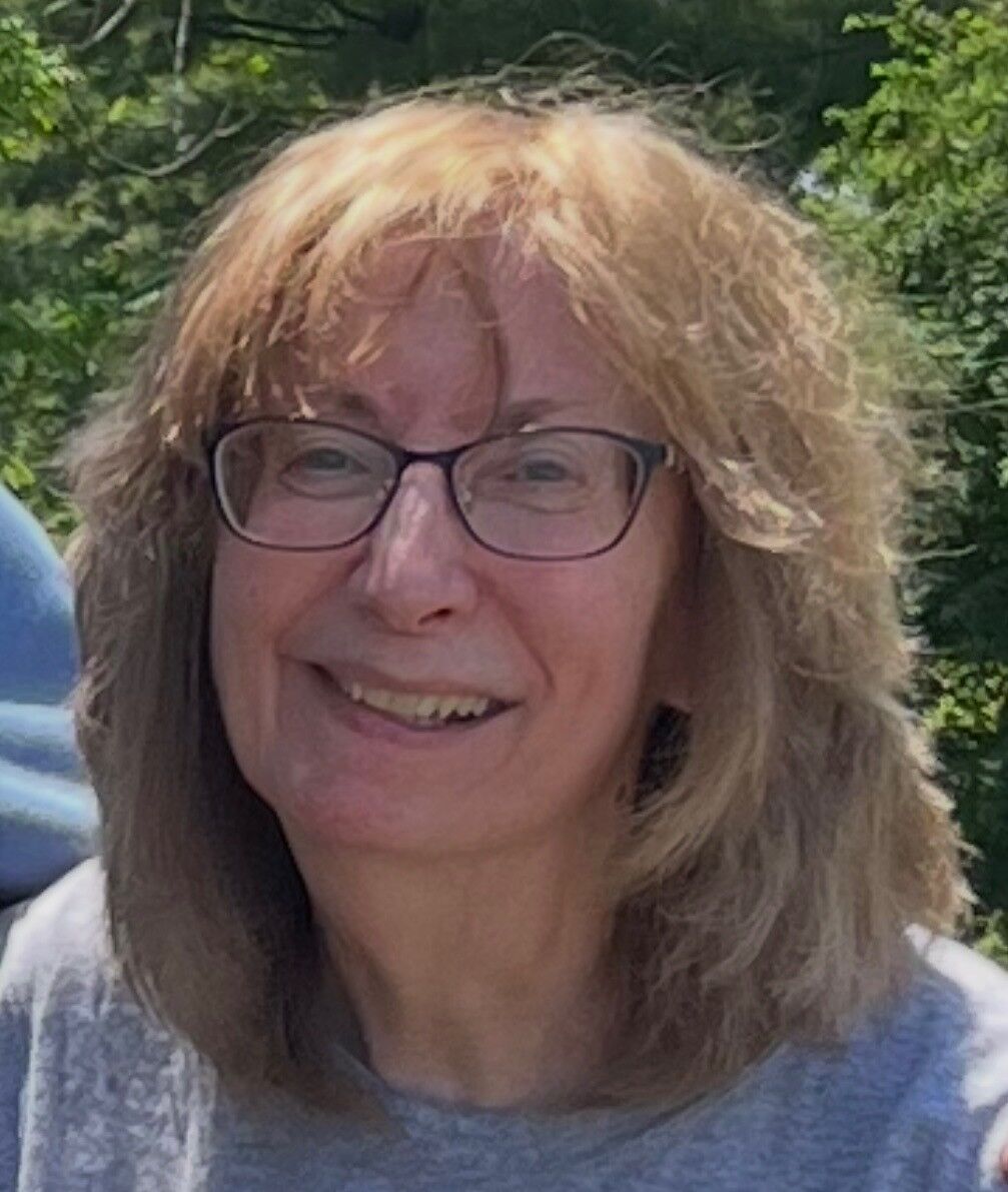 Carol Ann Cook | Obituaries | journal-news.net