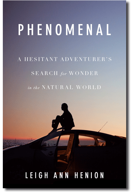 Railey: Eloquent wandering, wondering from Watauga author