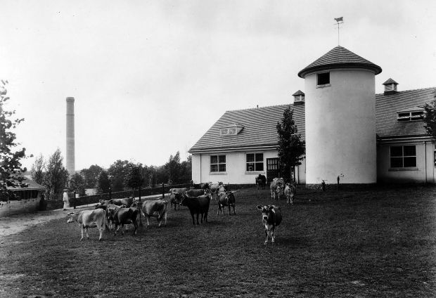 Reynolda Village