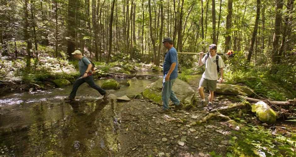 Caudill Cabin brings generations of descendant together
