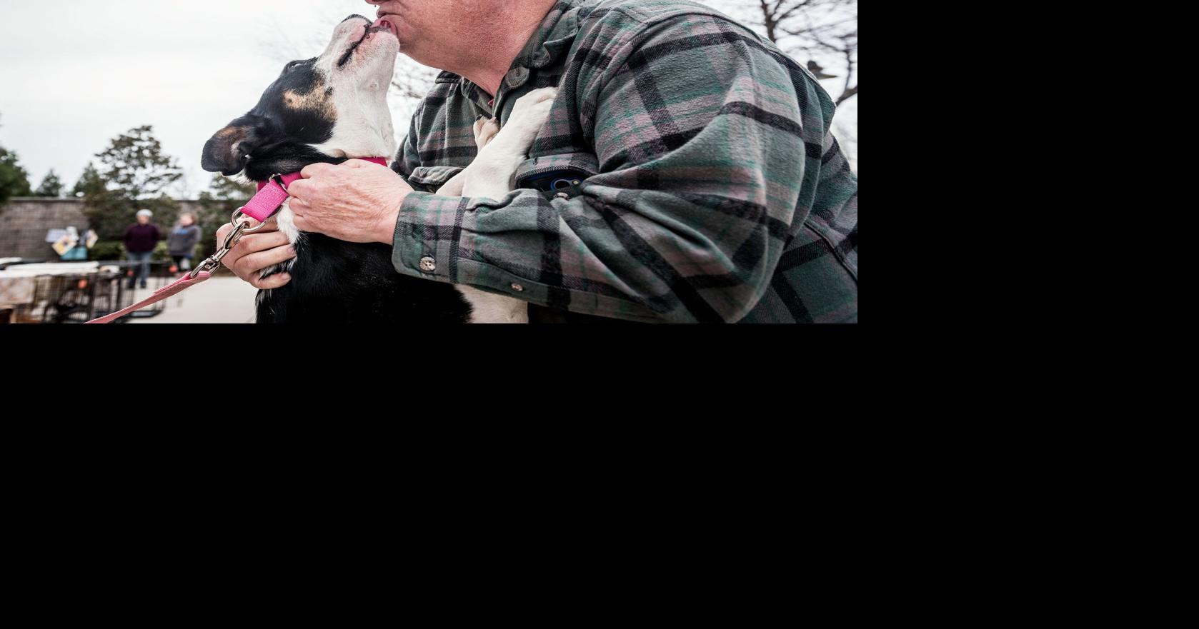 Davidson County dog rescue fights to stay open