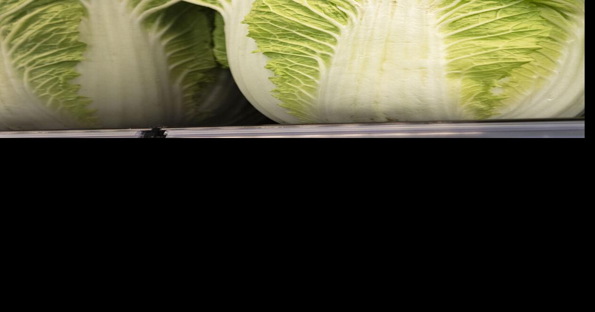 Foster Caviness commits to Winston-Salem facility, 305 jobs