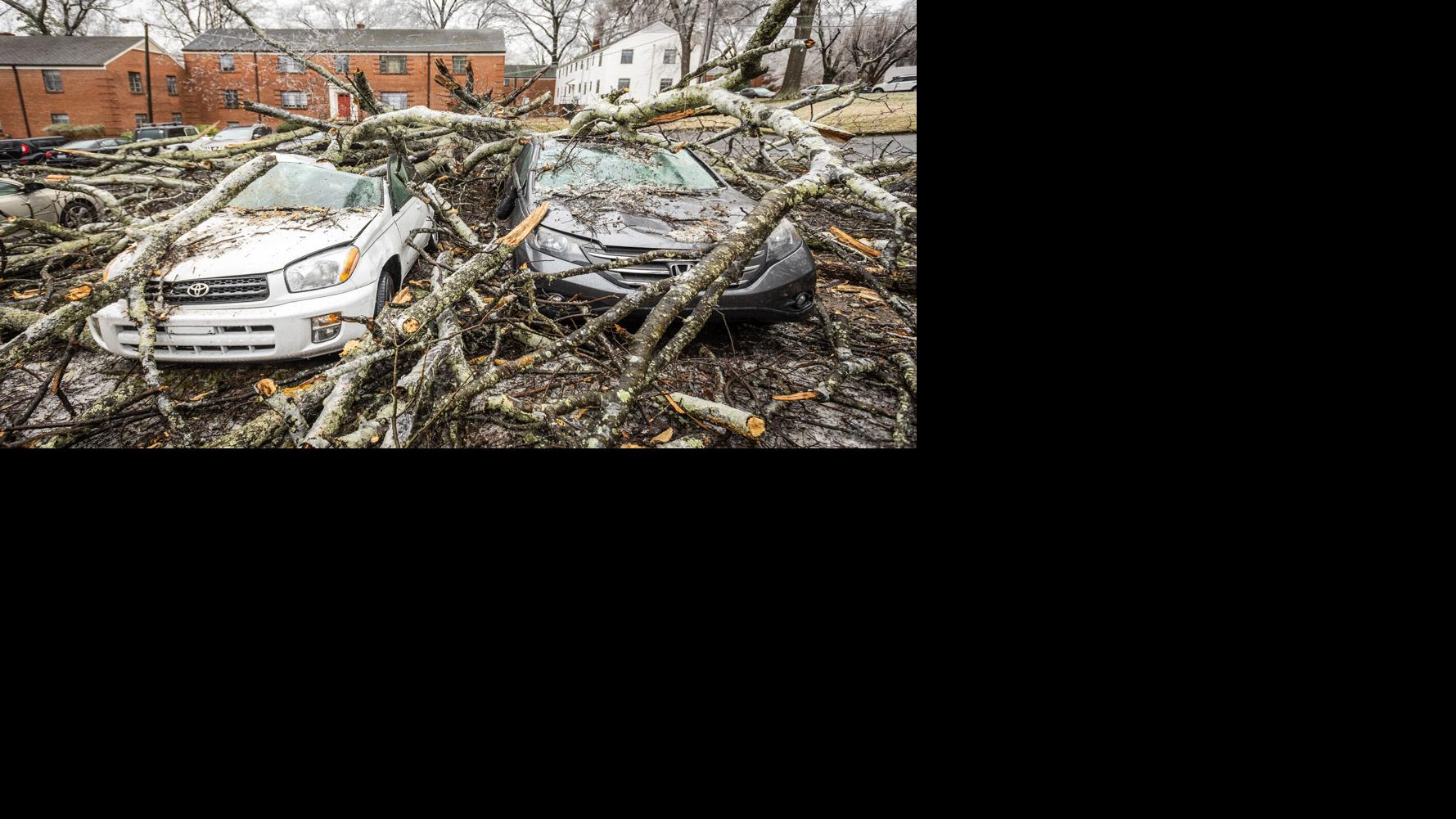 Watch Now: Downed tree smashes cars at Ardmore Terrace apartments ...