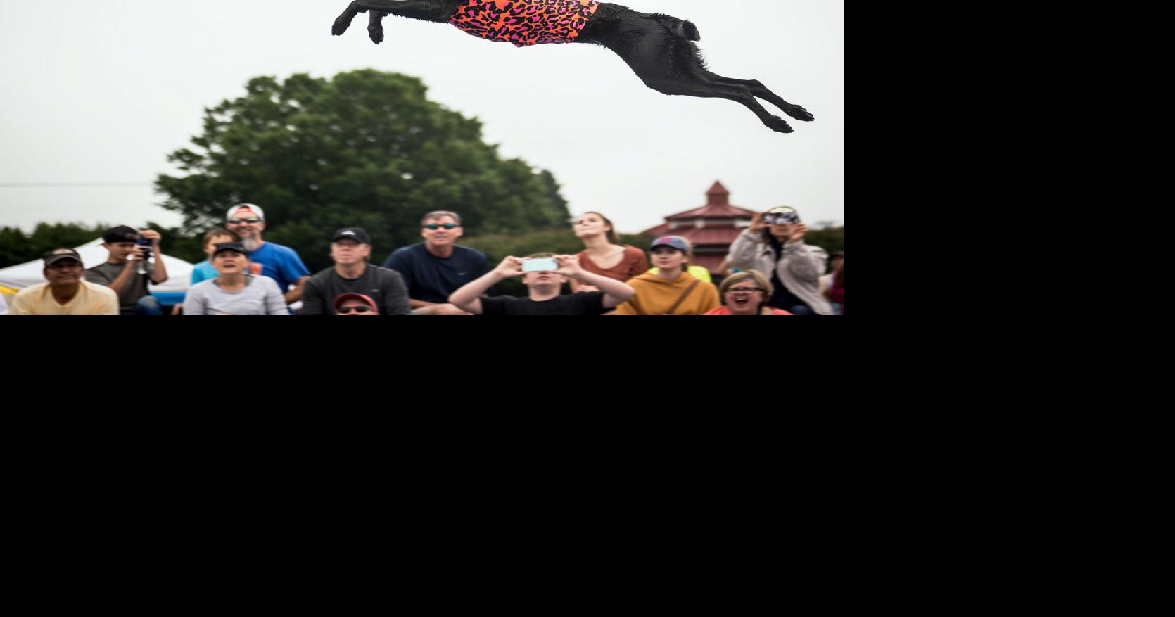 Fourth Annual Triad Dog Games