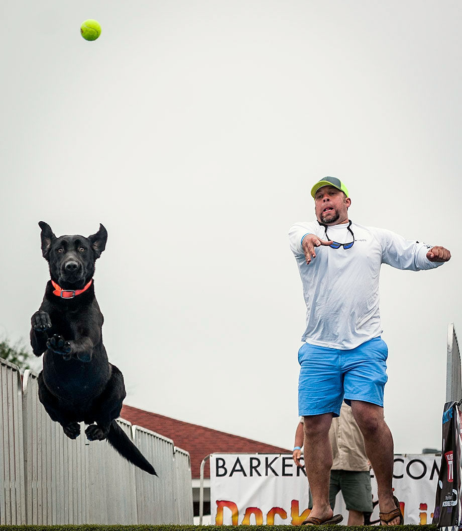 Fourth Annual Triad Dog Games | Galleries | journalnow.com