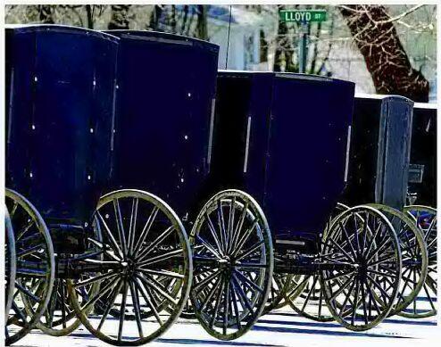 Court sides with Amish families who shun septic tanks