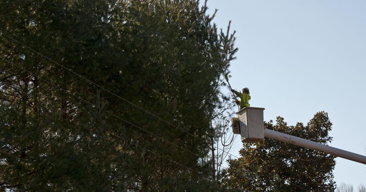Duke Energy tree trimming draws criticism