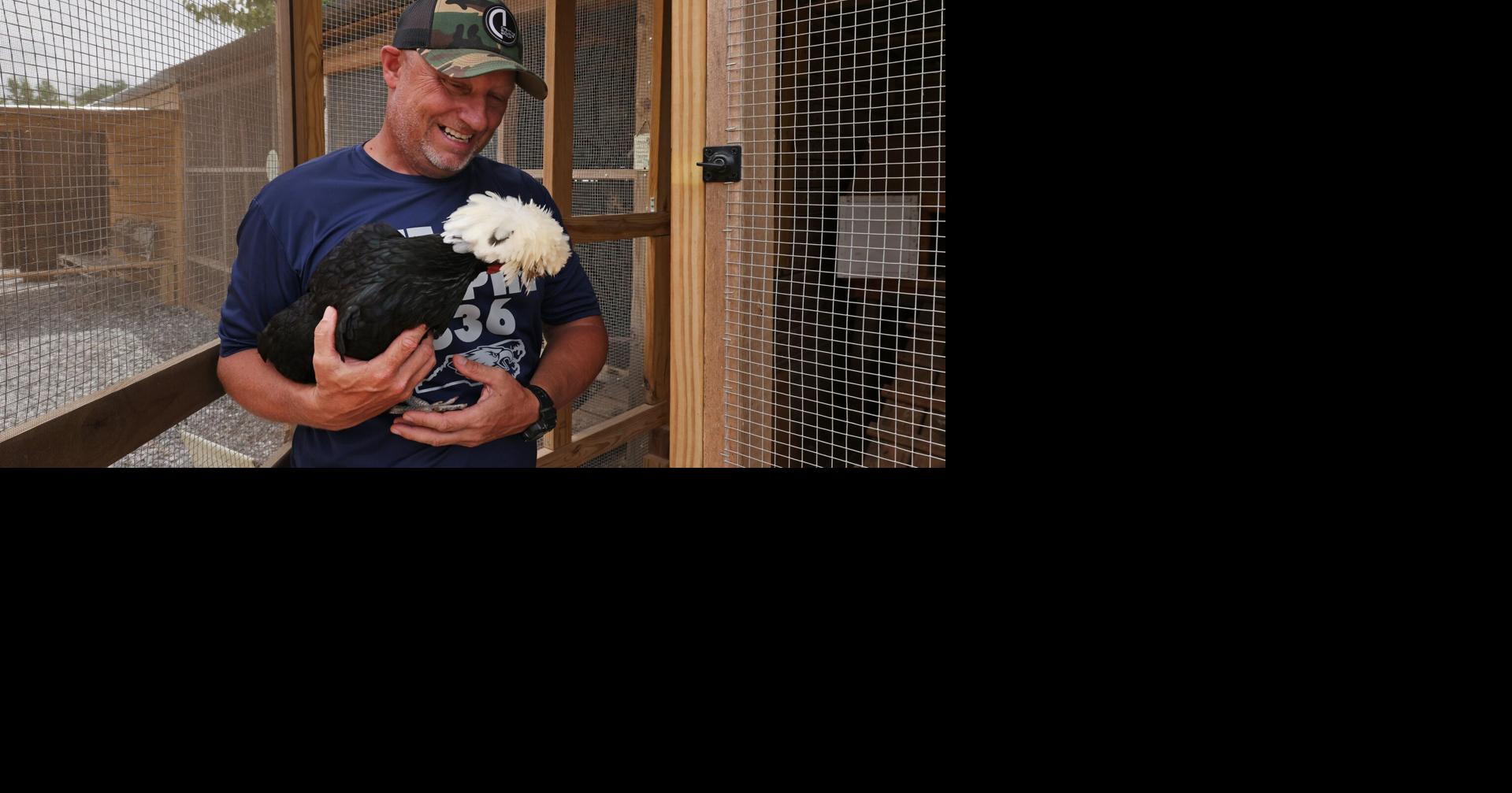 East Forsyth football coach raises chickens in Kernersville