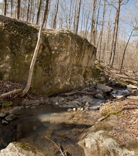Cedarock Park provides a fine dam hiking experience