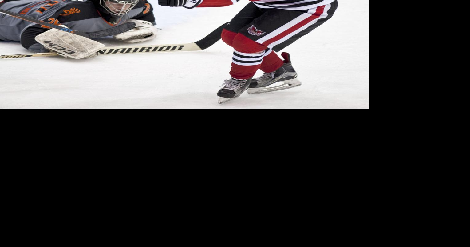 Thunderbirds fall to Danville Dashers to tie three-game series at 1-1