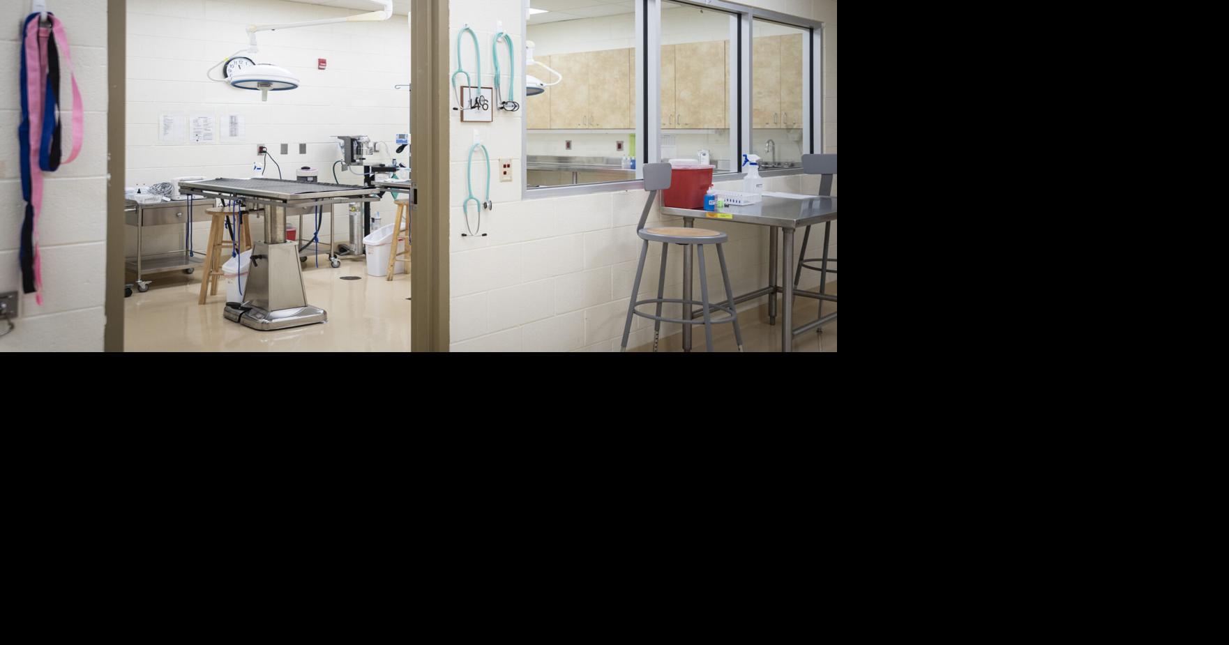 Forsyth Animal Shelter opens new spay and neuter clinic