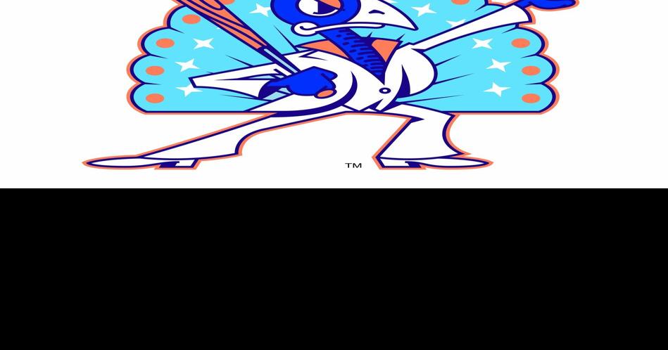 Carolina Disco Turkeys to open baseball season with home games Friday ...