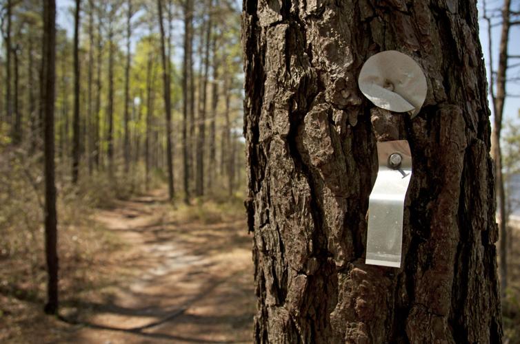Neusiok Trail expands view of N.C.