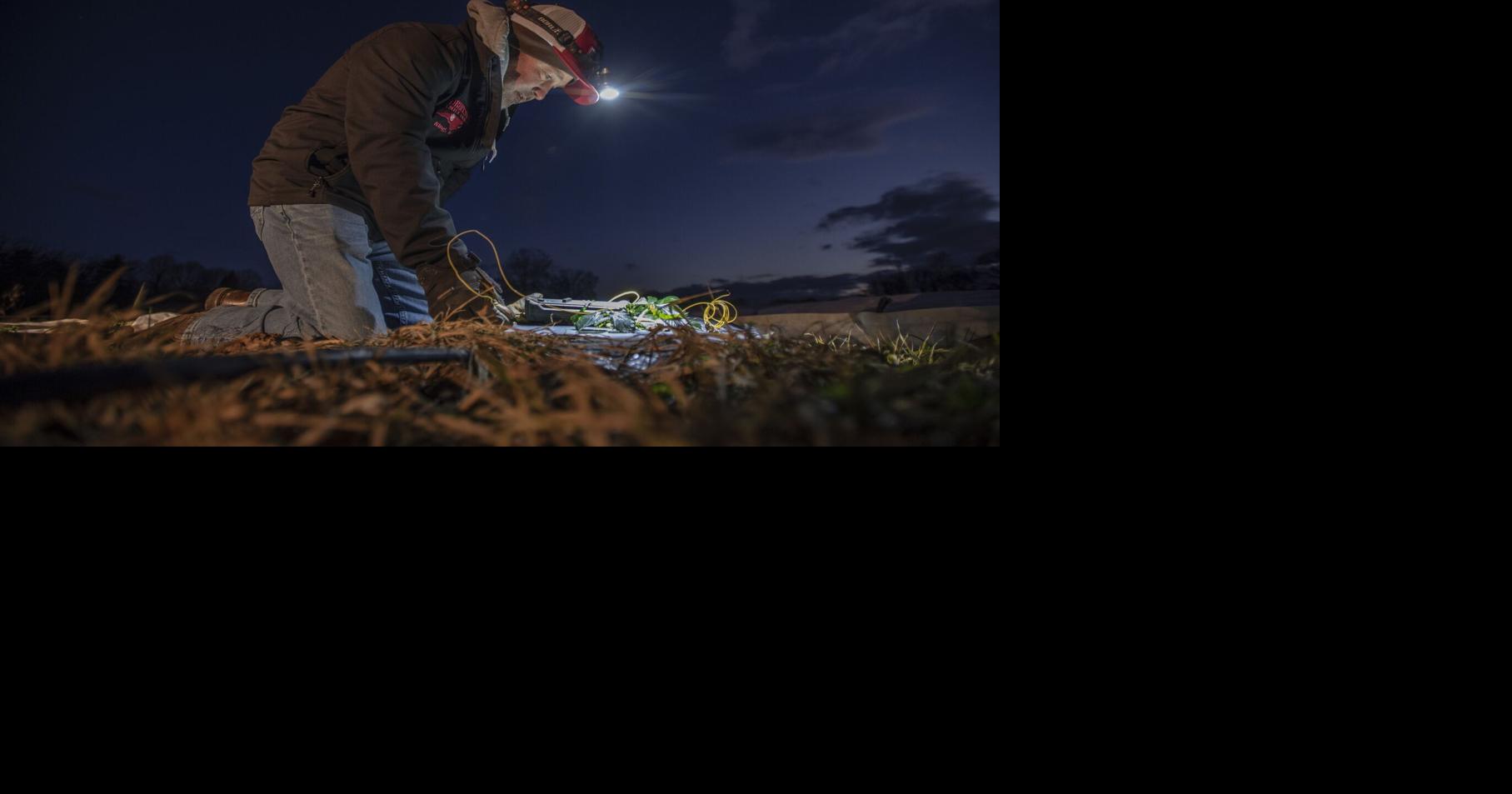 Two Things: Brrrr. Freeze warnings could cost farmers big bucks